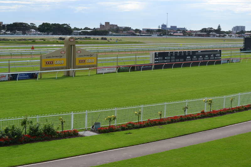 Stable Runners For Newcastle On Saturday - Steve Hodge Racing