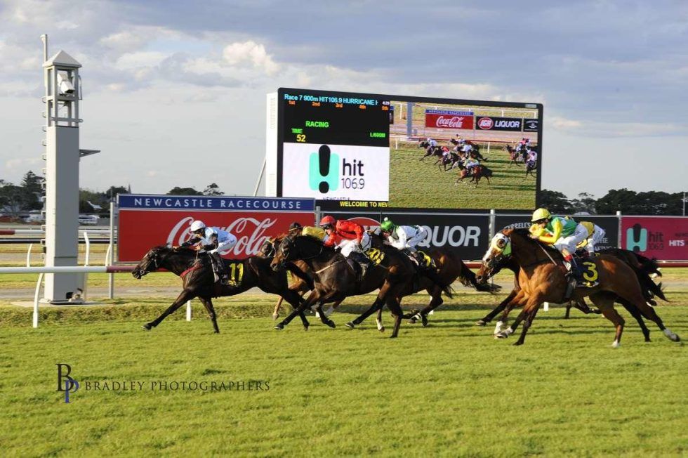 Grand Condor Wins The Hurricane At Newcastle - Steve Hodge Racing