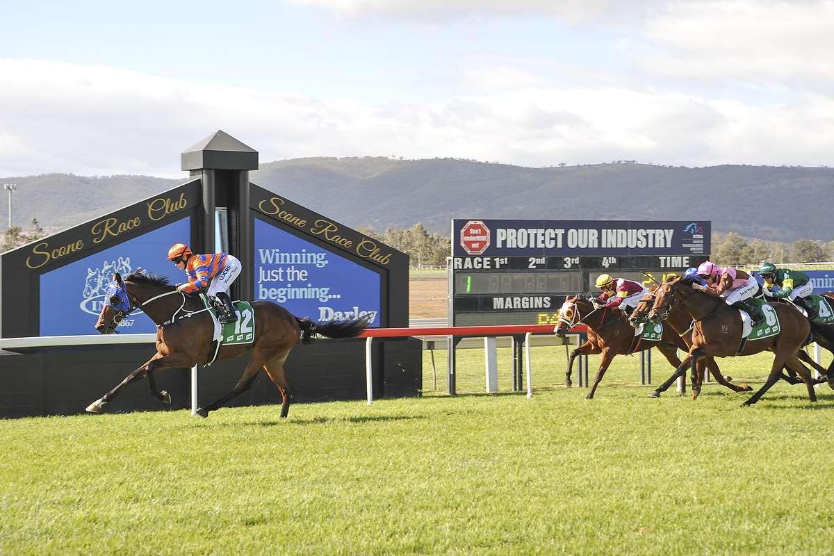 Ollerton Racing | Australian Racehorse Trainer