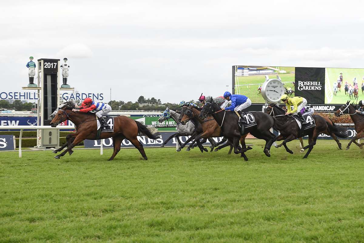 Ollerton Racing | Australian Racehorse Trainer