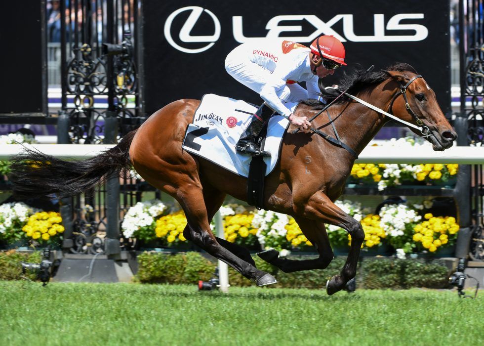 Teleplay scores again on Melbourne Cup Day - Price Kent Racing
