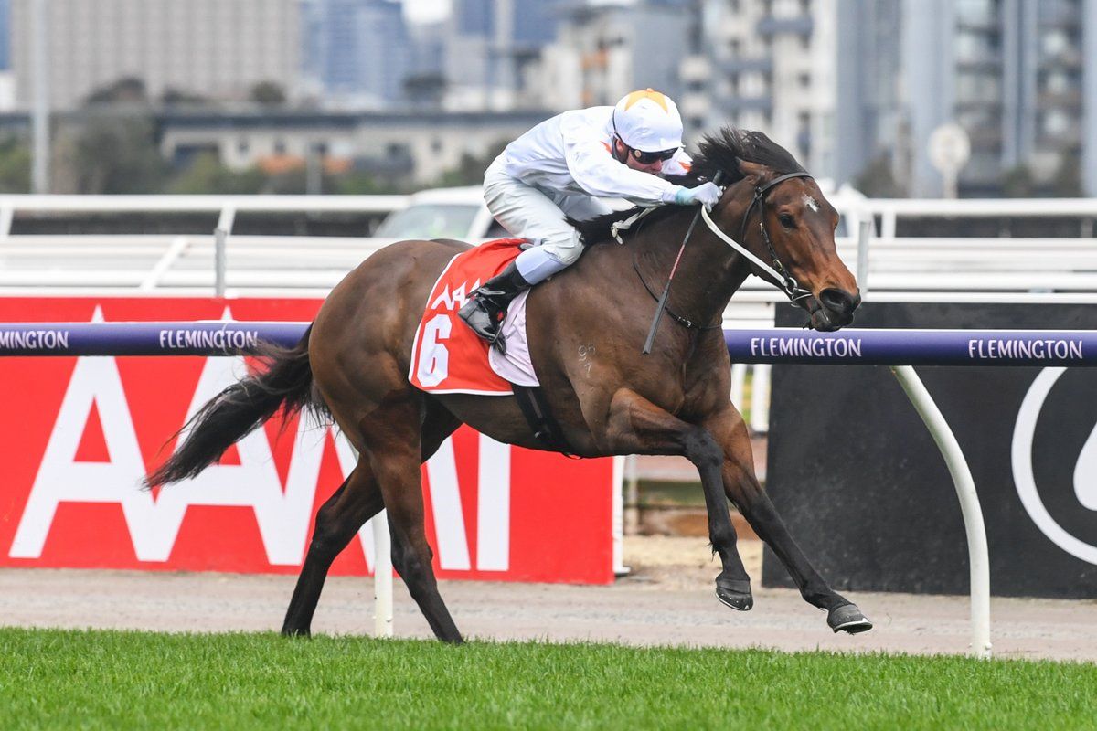 Spring confirmed for Sense of Honour - Price Kent Racing