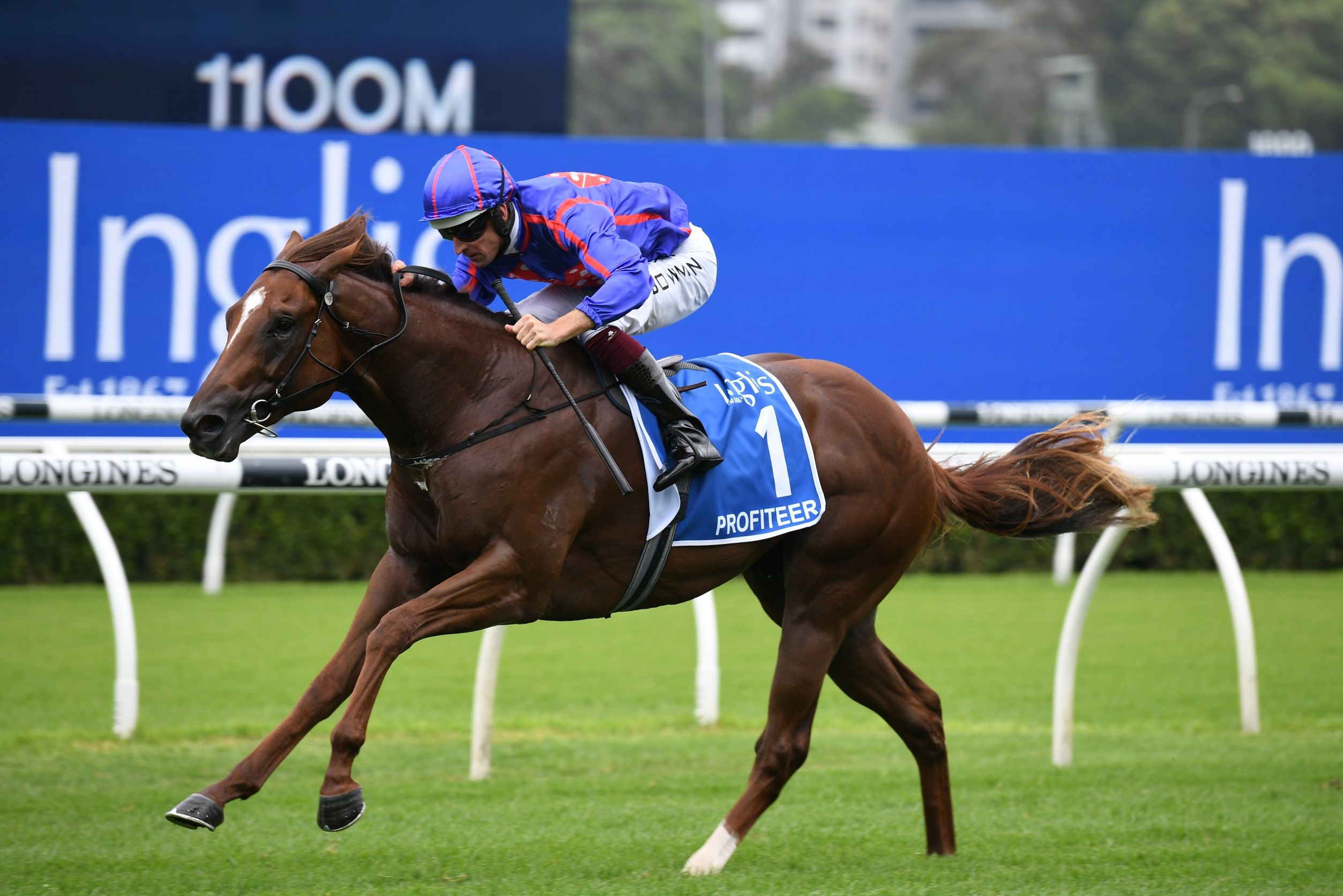 Profiteer demolishes rivals in the Inglis Millennium - Price Kent Racing