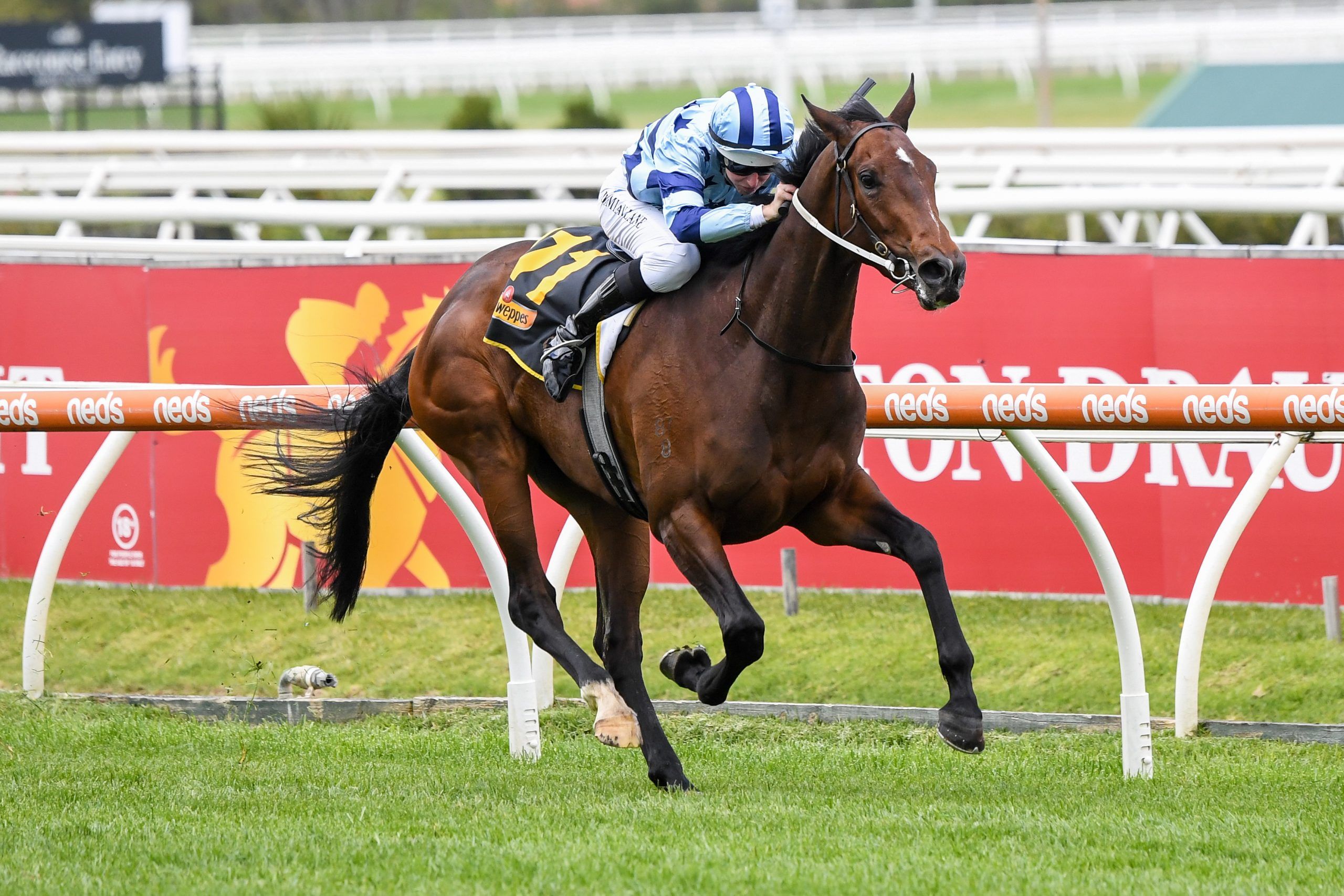 STABLE NEWS - Price Kent Racing