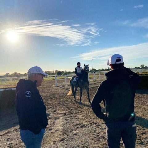 Michael Kent Jnr - Price Kent Racing