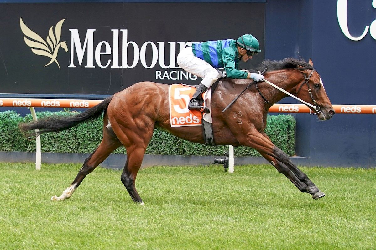 STABLE NEWS - Price Kent Racing