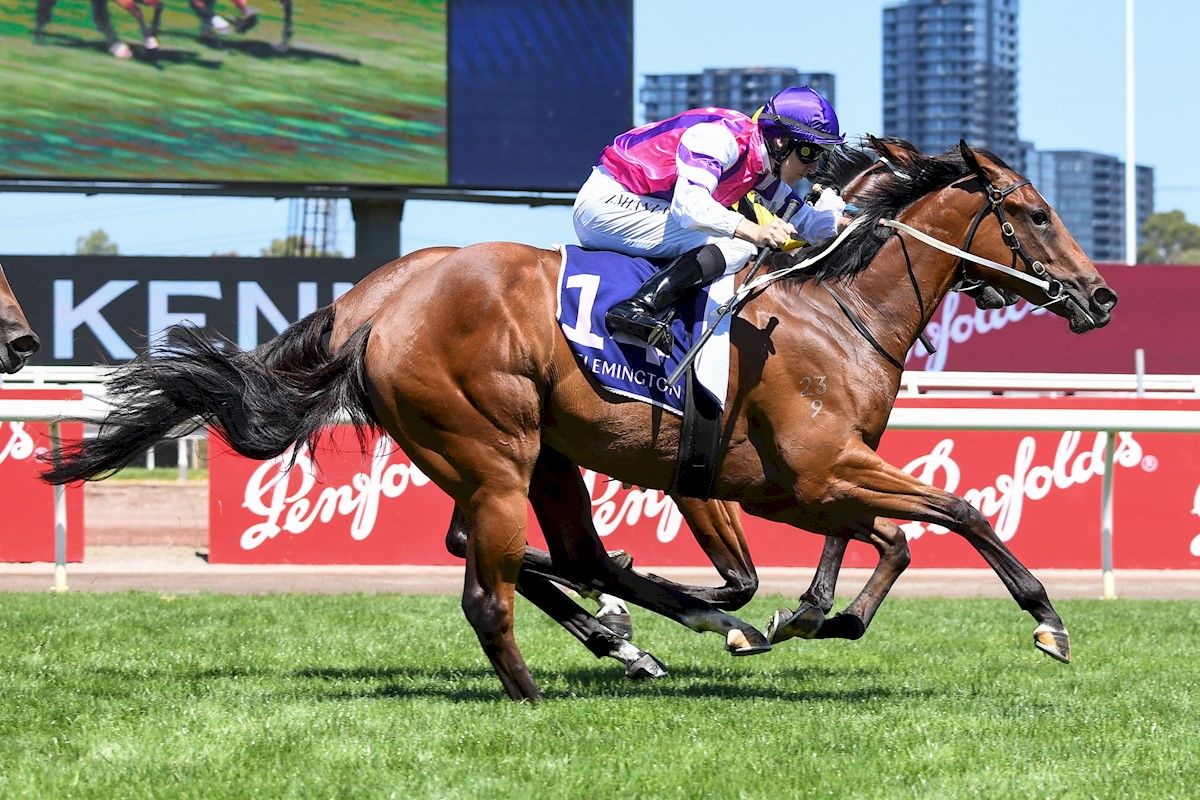 STABLE NEWS - Price Kent Racing