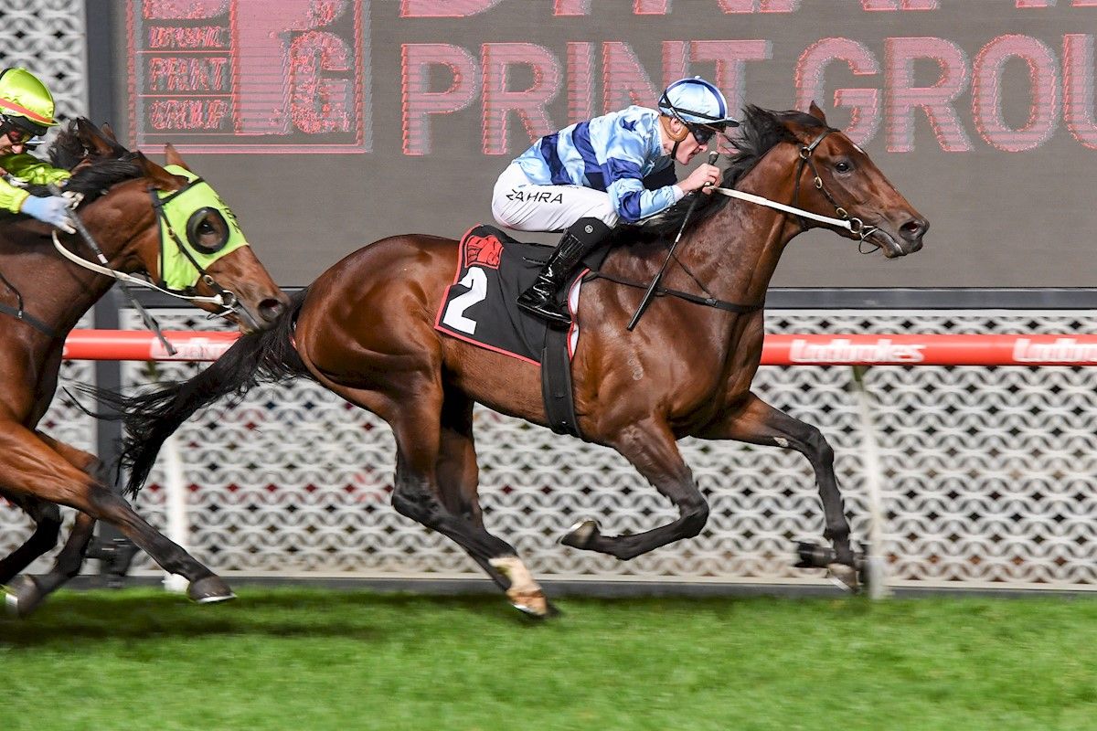 STABLE NEWS - Price Kent Racing