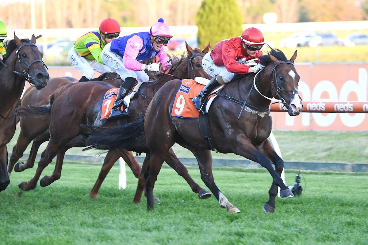 Warrior looks Extremely exciting - Price Kent Racing