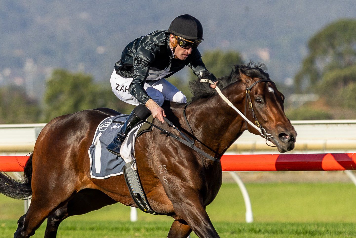 STABLE NEWS - Price Kent Racing