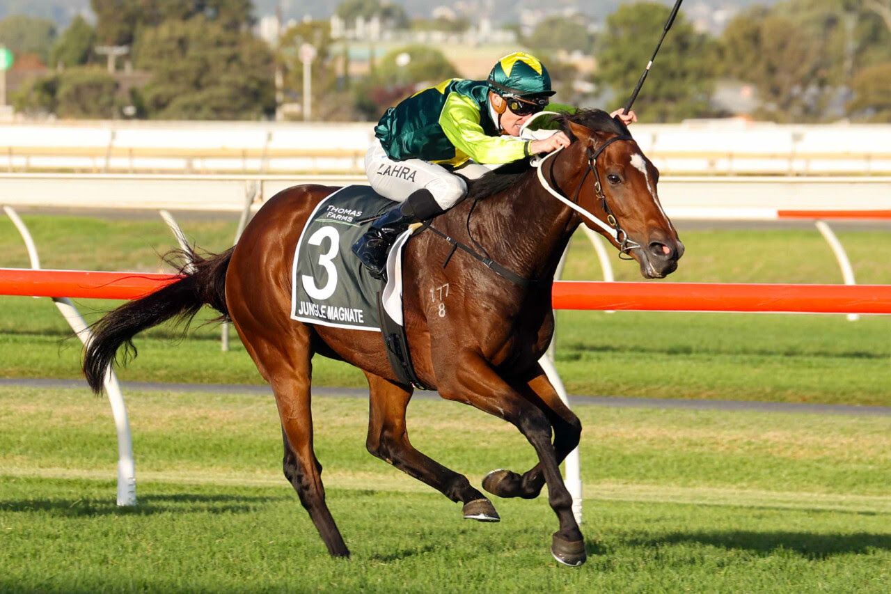 STABLE NEWS - Price Kent Racing