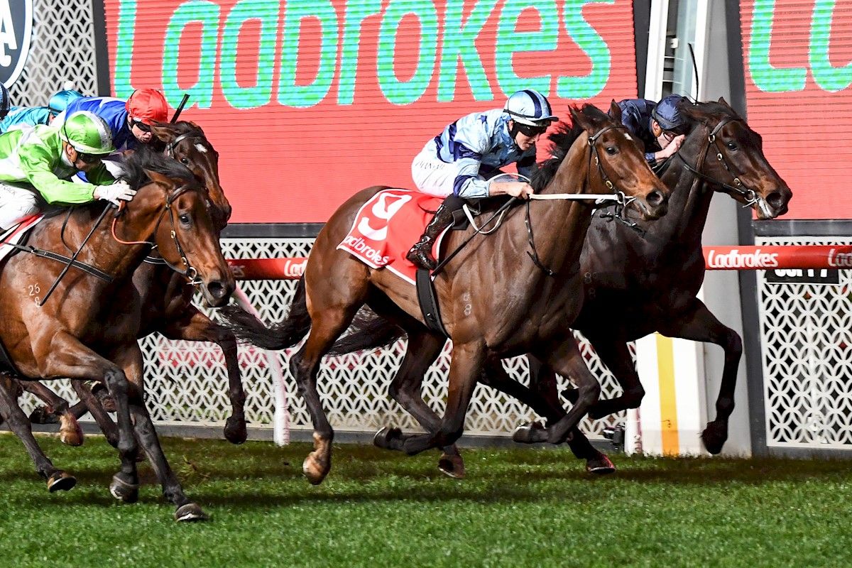 STABLE NEWS - Price Kent Racing