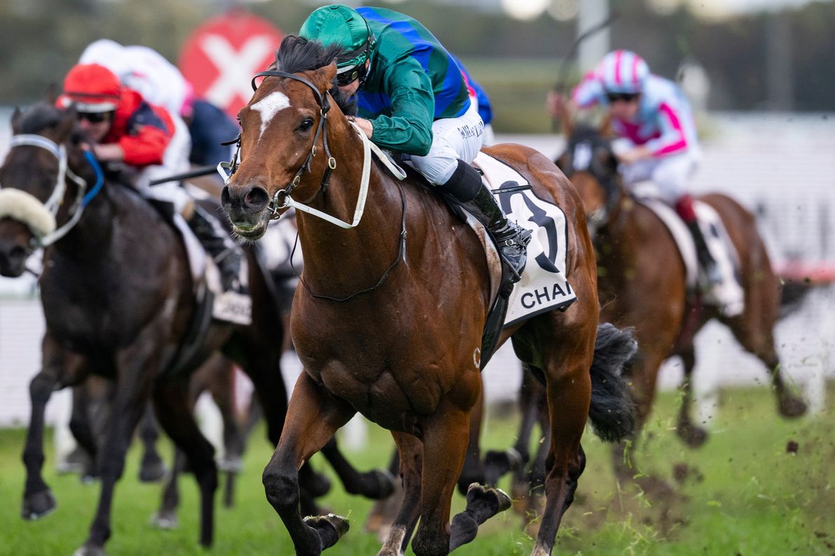 STABLE NEWS - Price Kent Racing