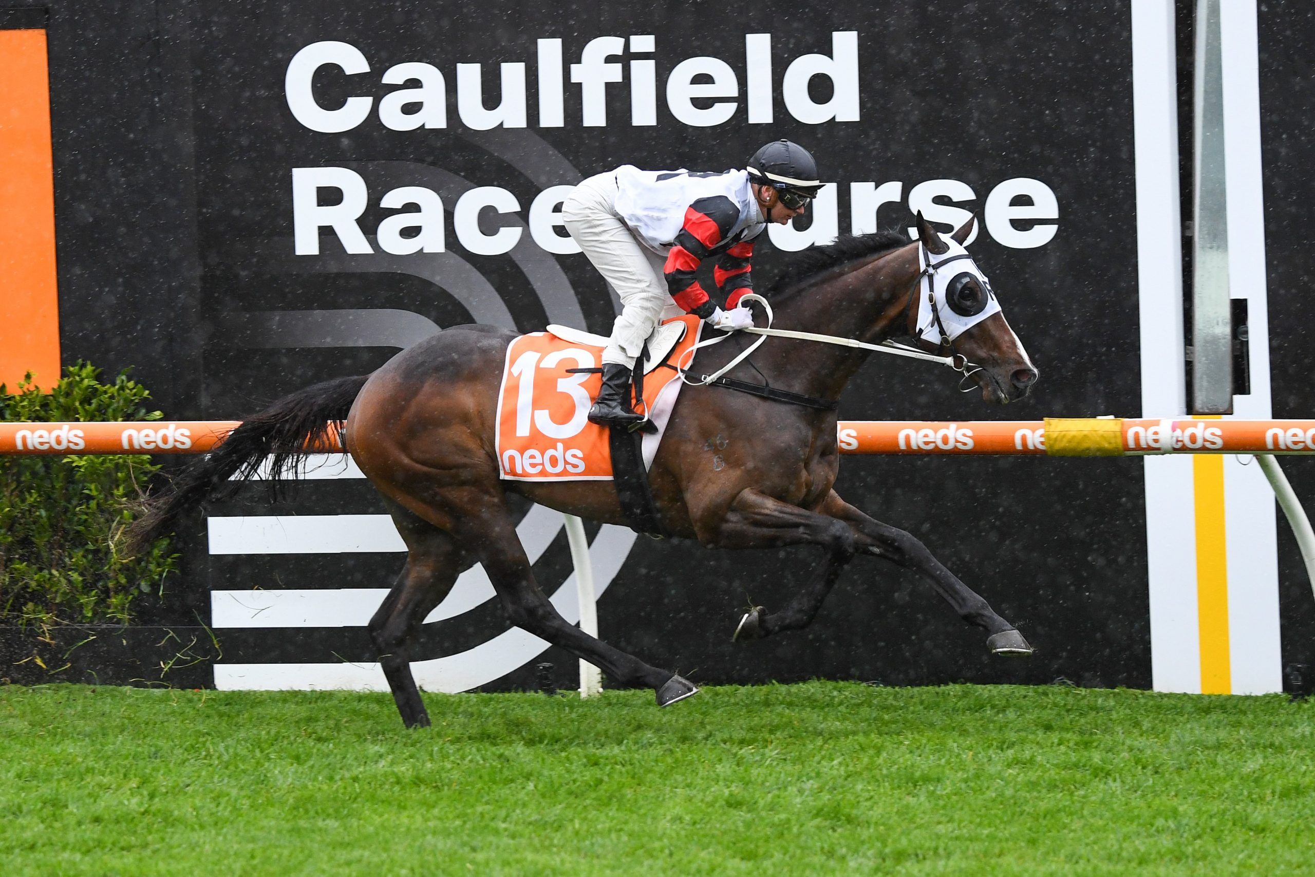 STABLE NEWS - Price Kent Racing