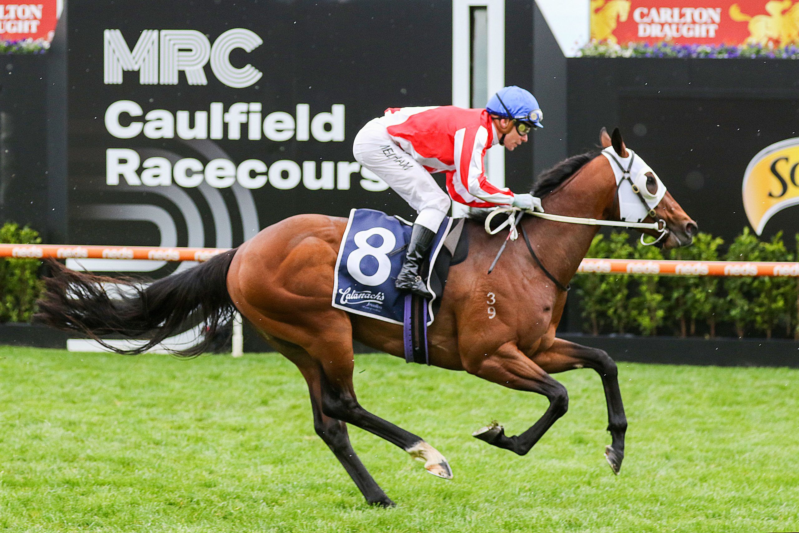 STABLE NEWS - Price Kent Racing