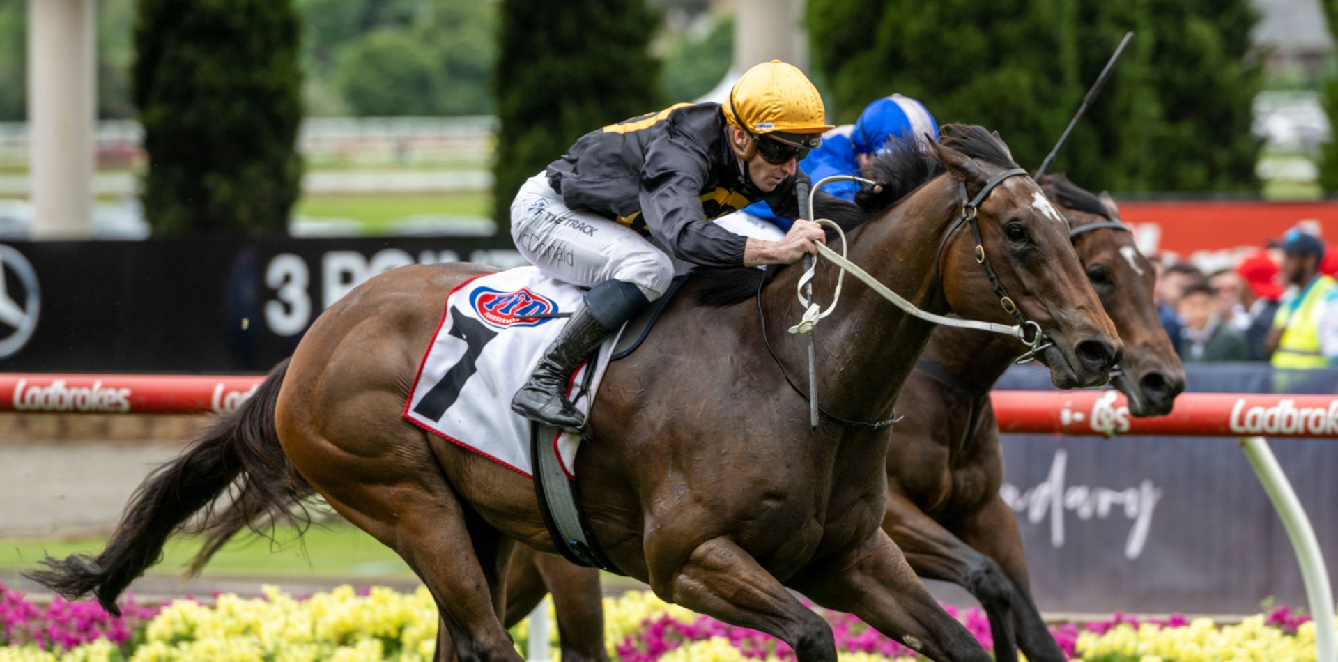 STABLE NEWS - Price Kent Racing