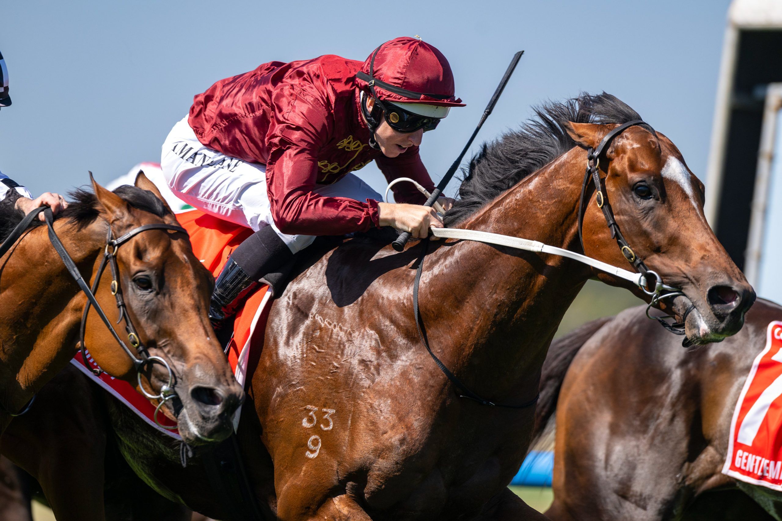 STABLE NEWS - Price Kent Racing