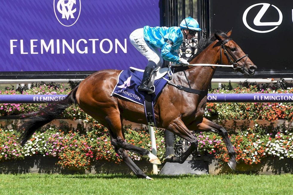 HOME - Price Kent Racing