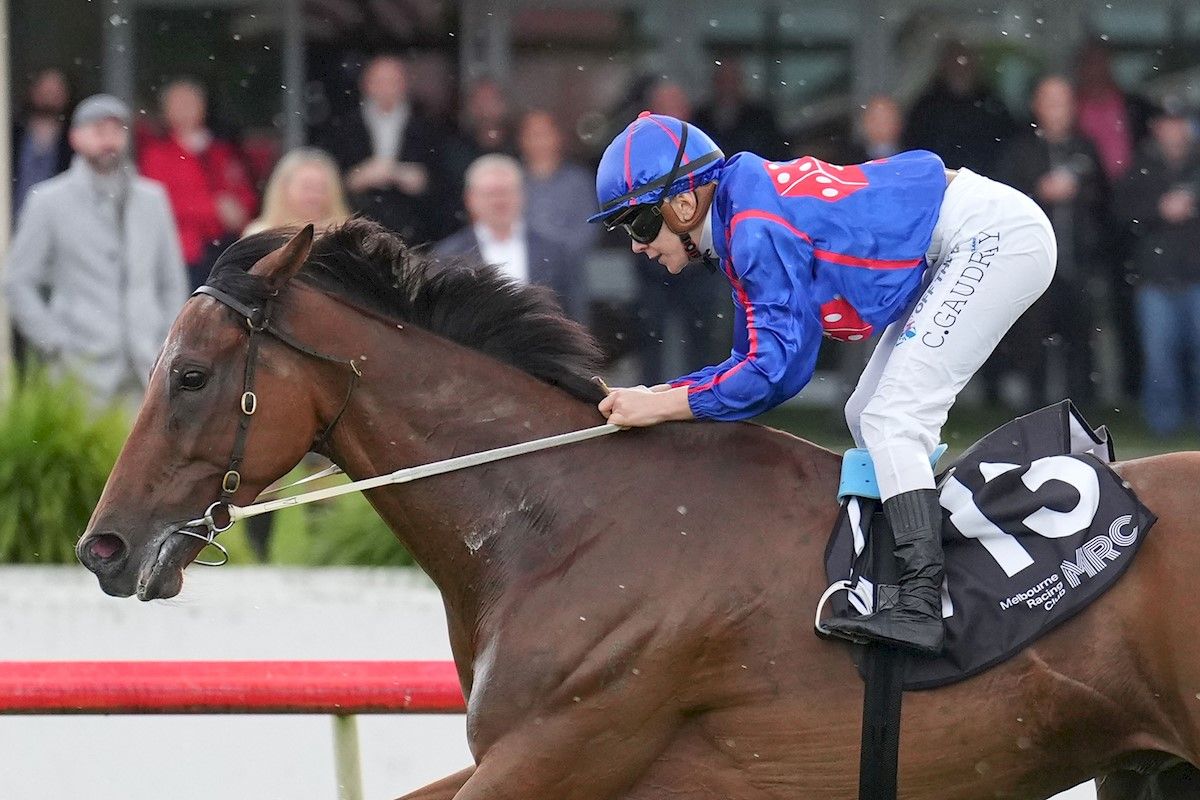 STABLE NEWS - Price Kent Racing
