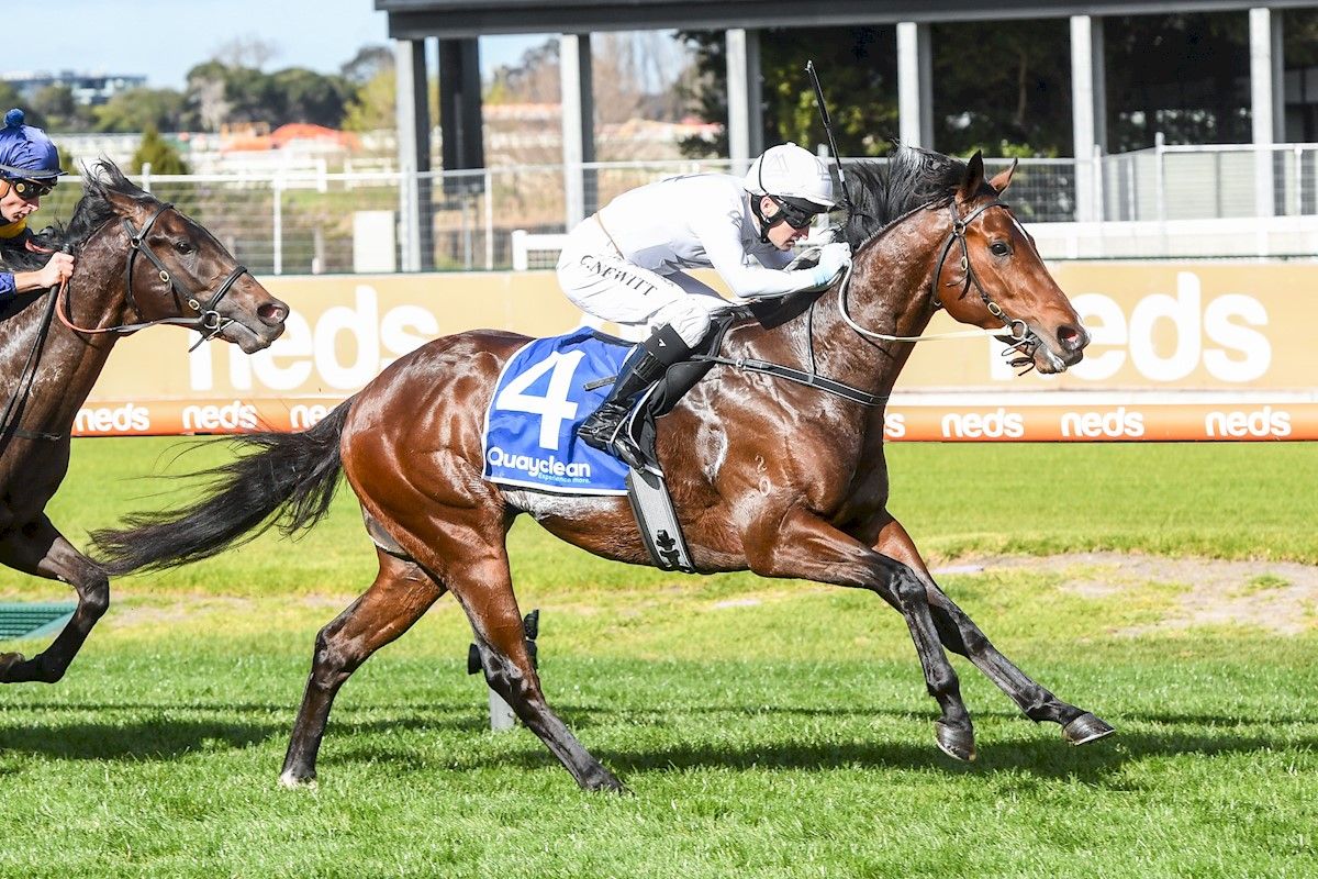 STABLE NEWS - Price Kent Racing