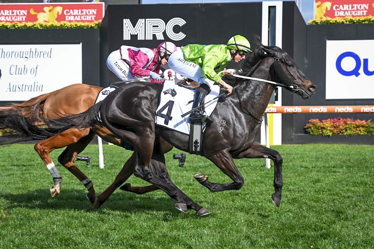 STABLE NEWS - Price Kent Racing