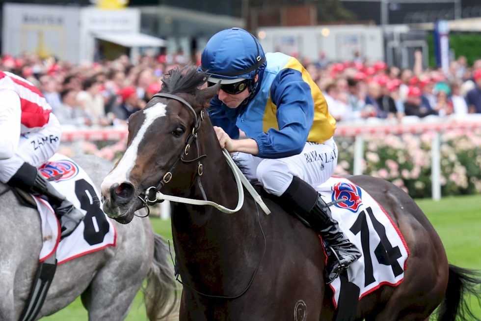 First Stakes Win for Gumdrops - Price Kent Racing