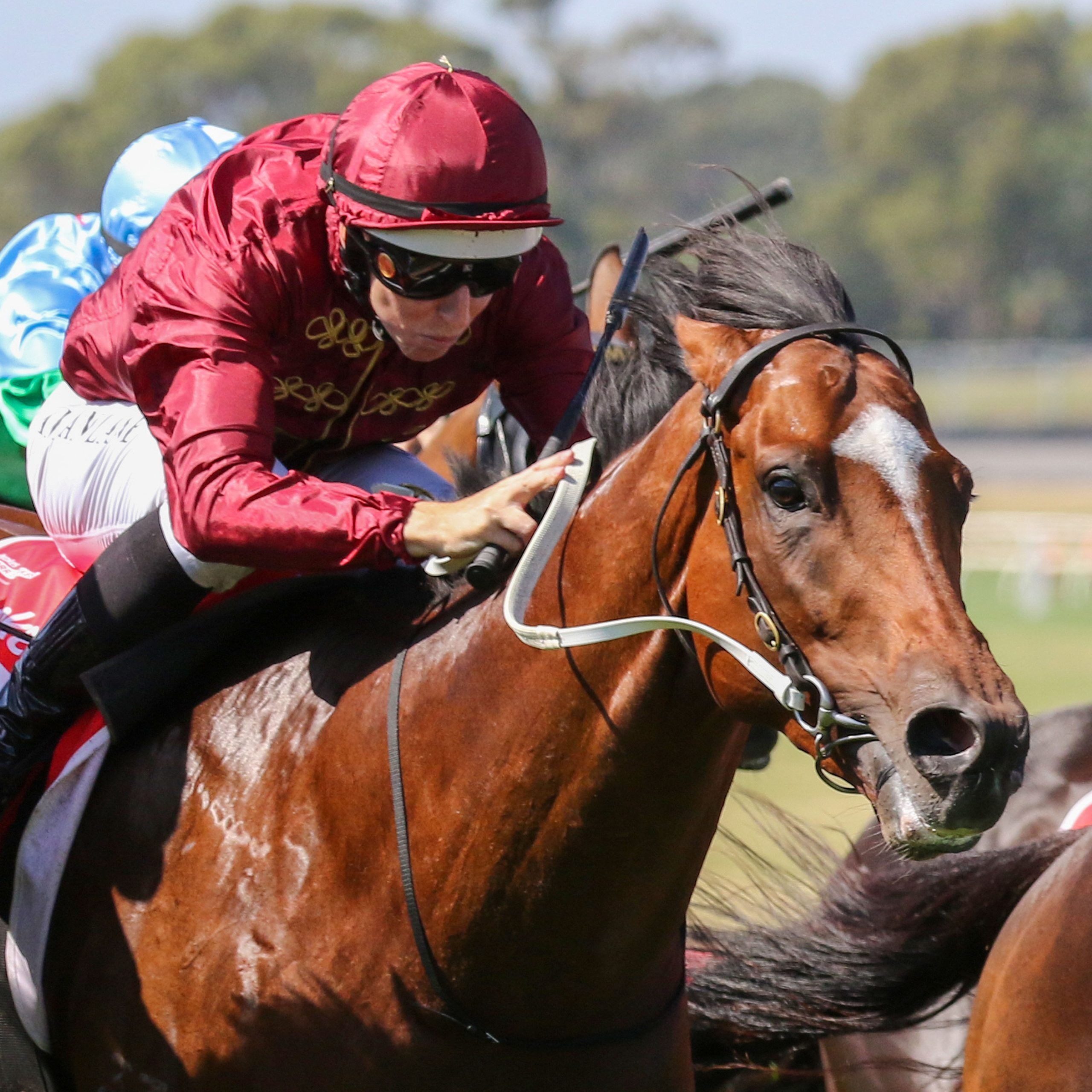 STABLE NEWS - Price Kent Racing