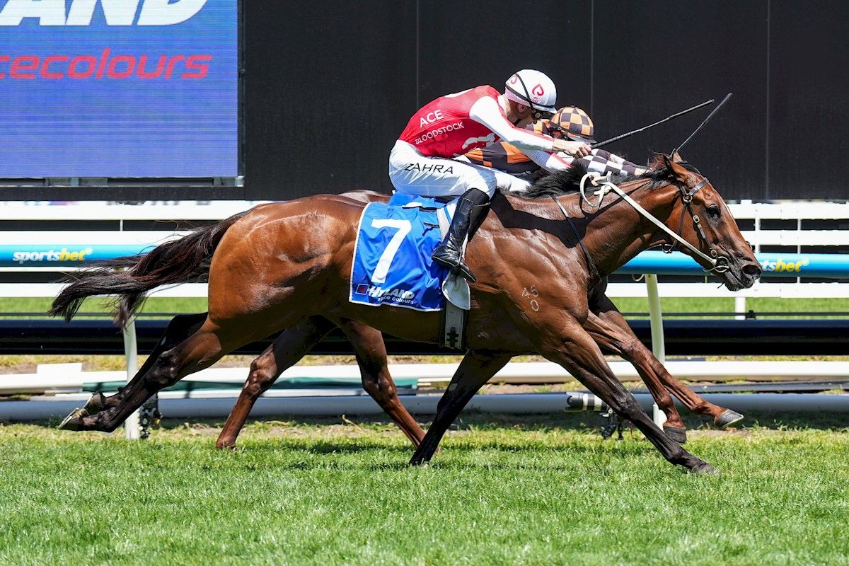 STABLE NEWS - Price Kent Racing