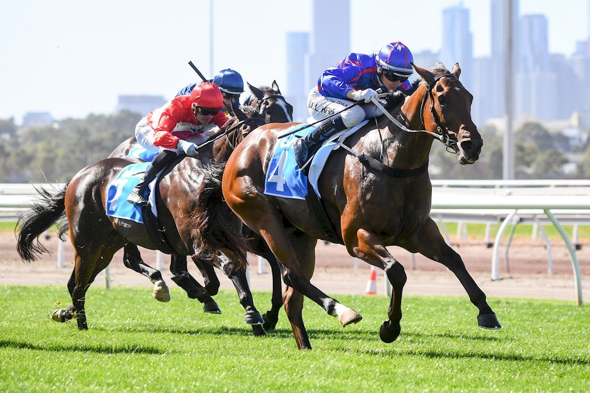 STABLE NEWS - Price Kent Racing