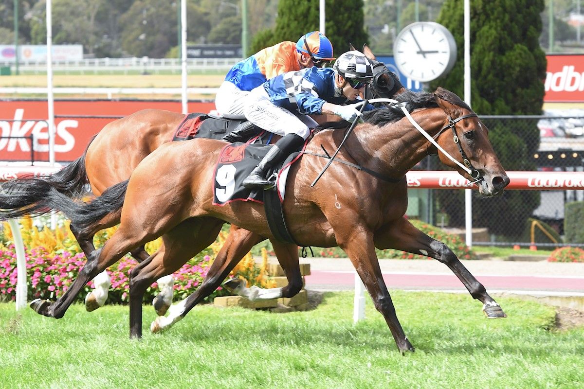 STABLE NEWS - Price Kent Racing