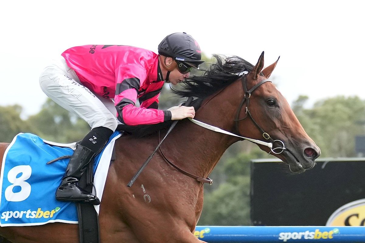 STABLE NEWS - Price Kent Racing