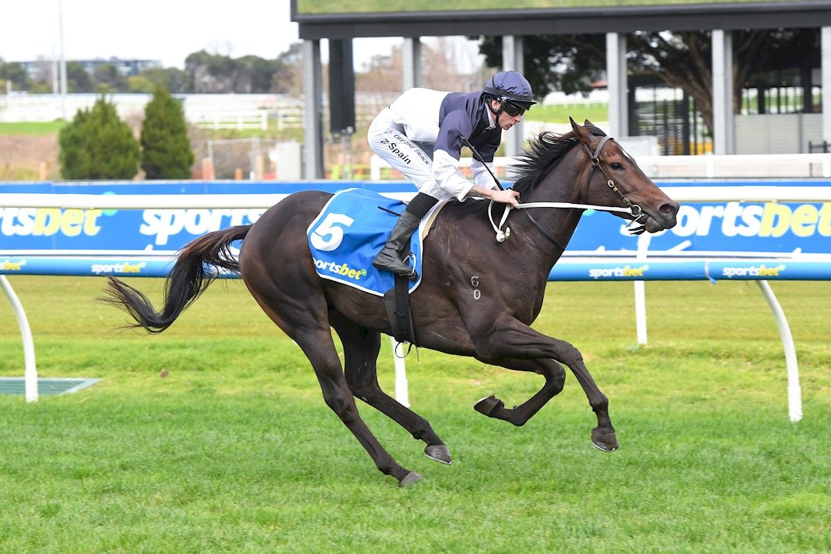 STABLE NEWS - Price Kent Racing