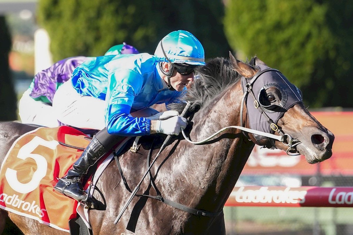 Guineas Plan for Space Rider - Price Kent Racing