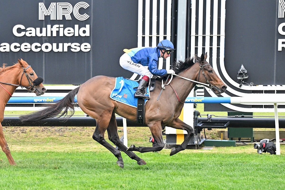 Mare's talent On Display for all - Price Kent Racing