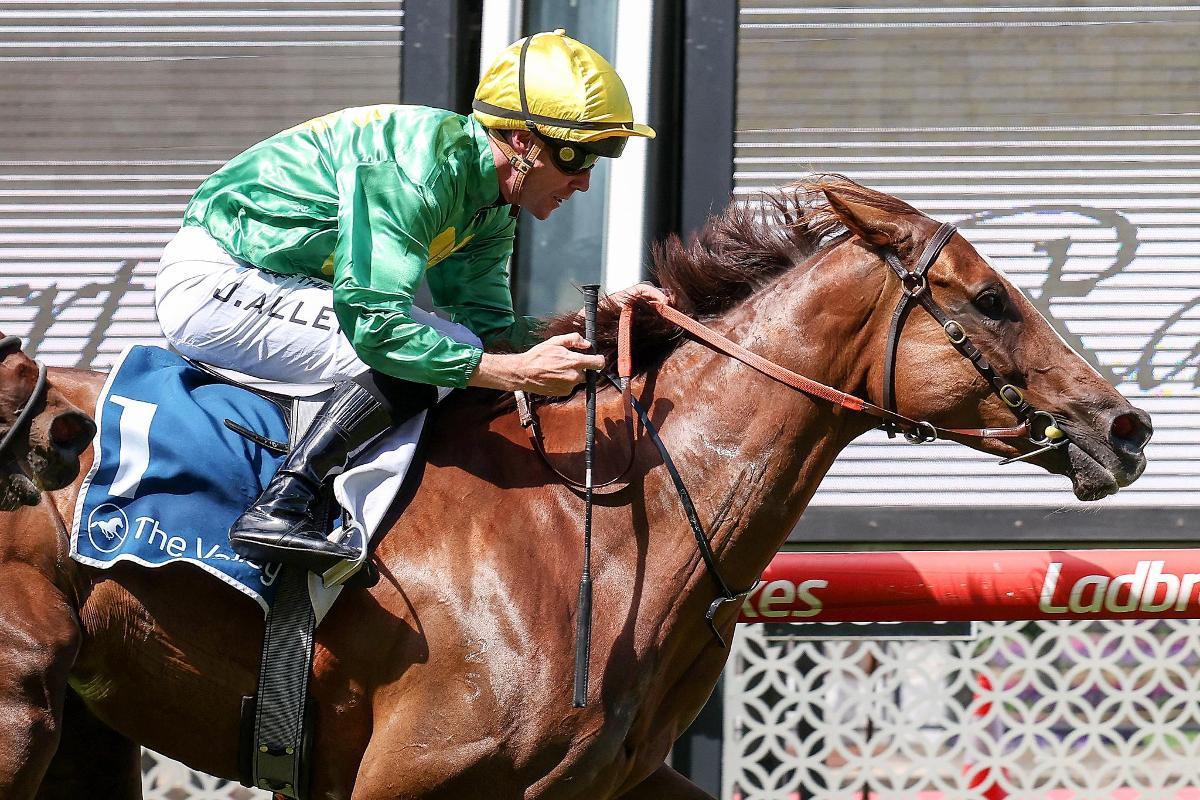 Lady Solly records another well-deserved Valley win - AJ Chambers Racing