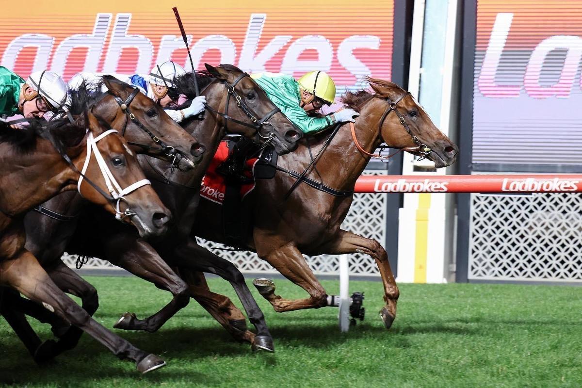 Lady Solly wins first-up, again, at The Valley - AJ Chambers Racing