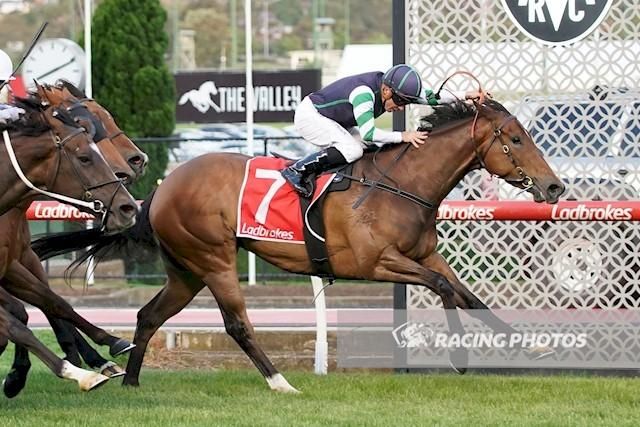 Kev's Girl wins at The Valley, chalking up another 55-Second Challenge win for AJ Chambers ...