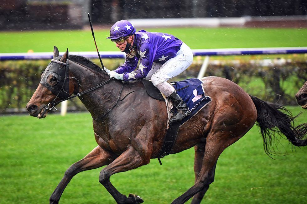 Ritchie in for The Good Fight - Shaune Ritchie Racing