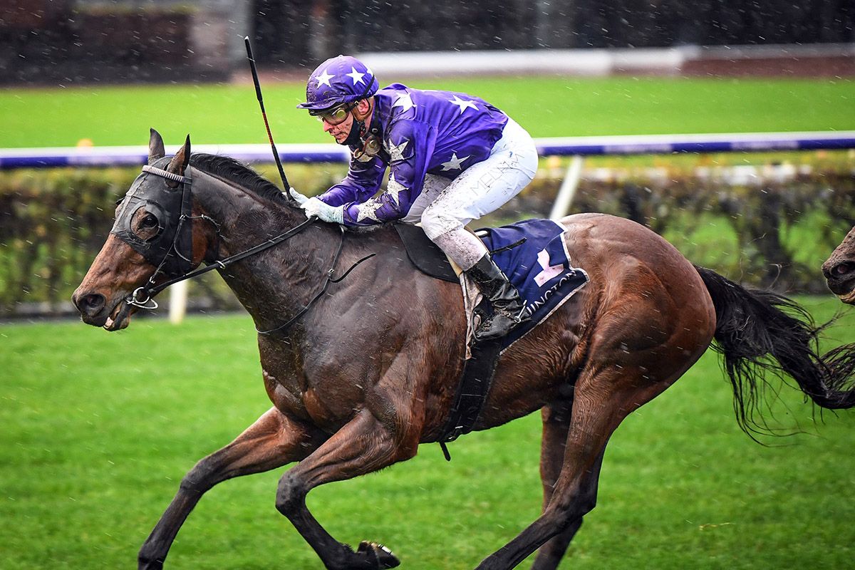 Ritchie in for The Good Fight - Shaune Ritchie Racing