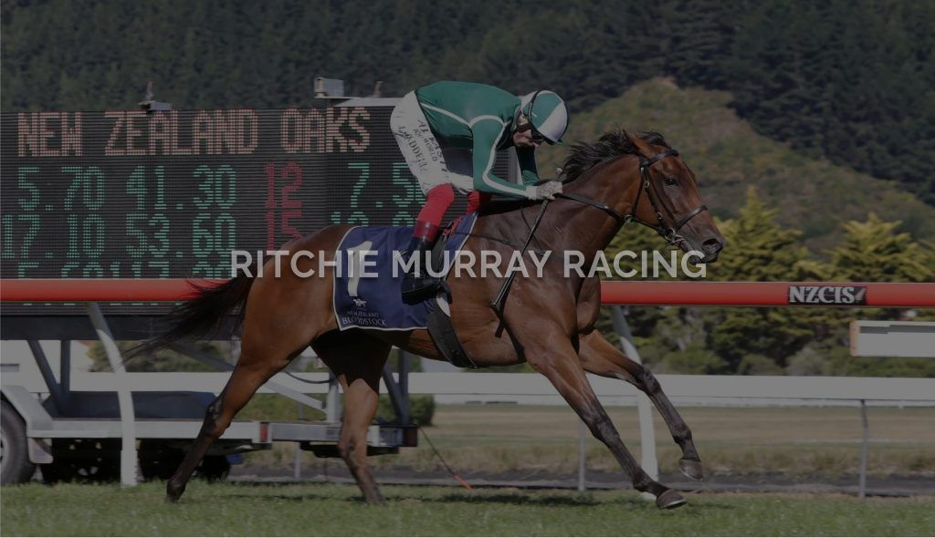 Home - Shaune Ritchie Racing