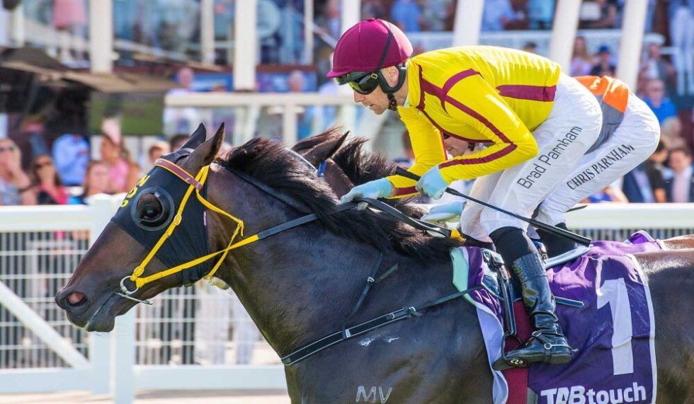 Home - Parnham Racing Stables