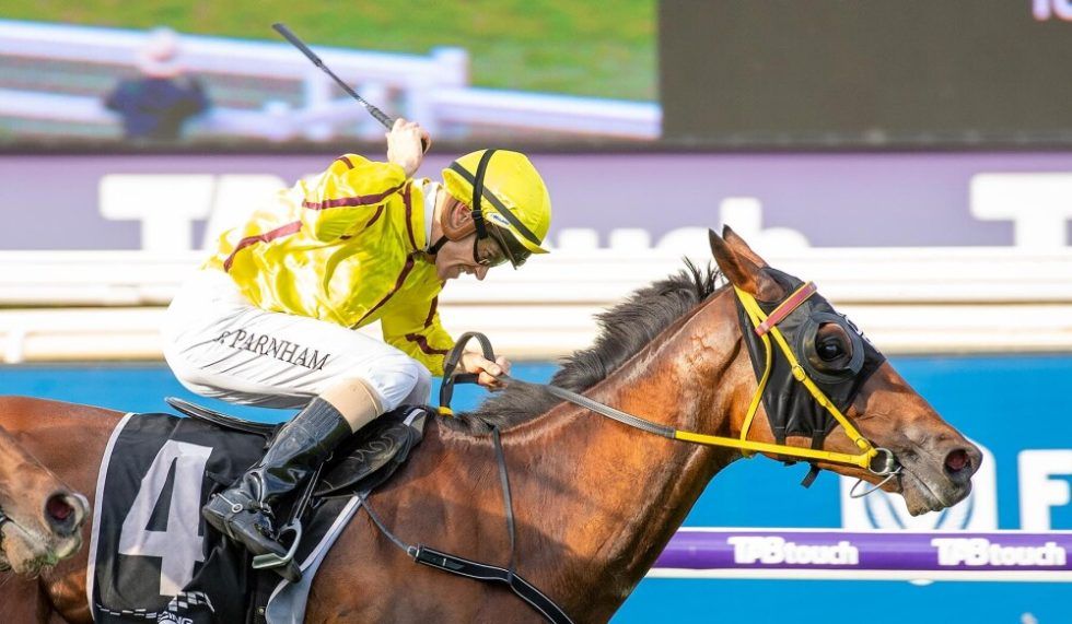 Home - Parnham Racing Stables