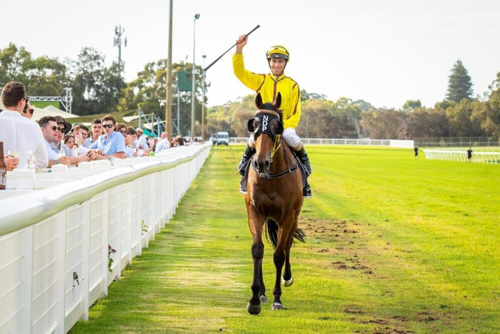Home - Parnham Racing Stables