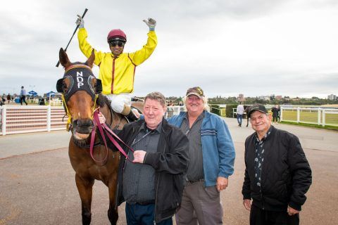 Home - Parnham Racing Stables
