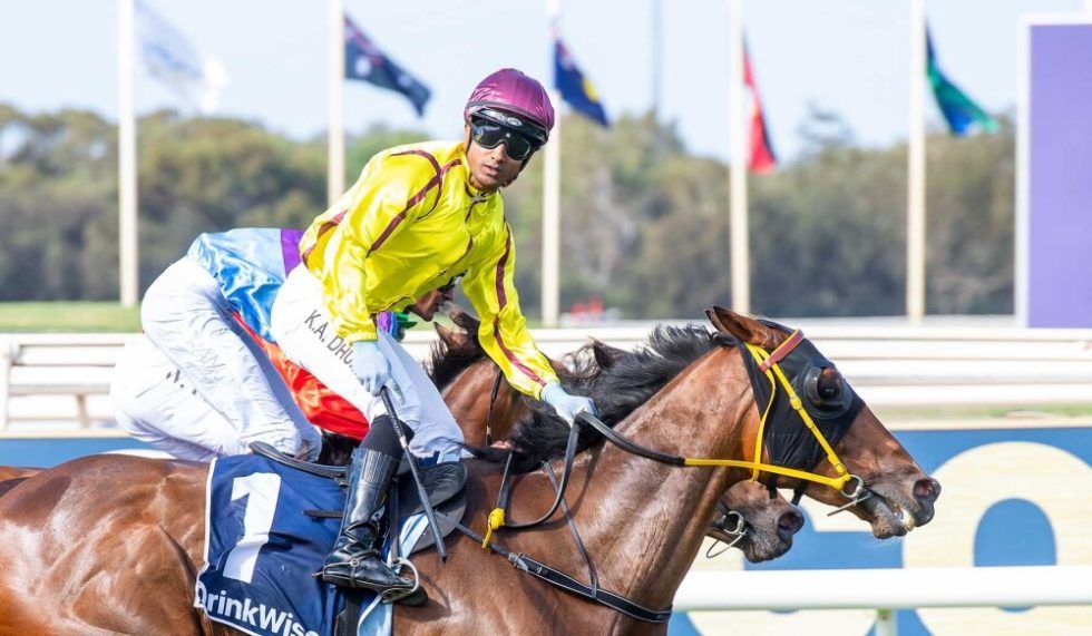 Home - Parnham Racing Stables