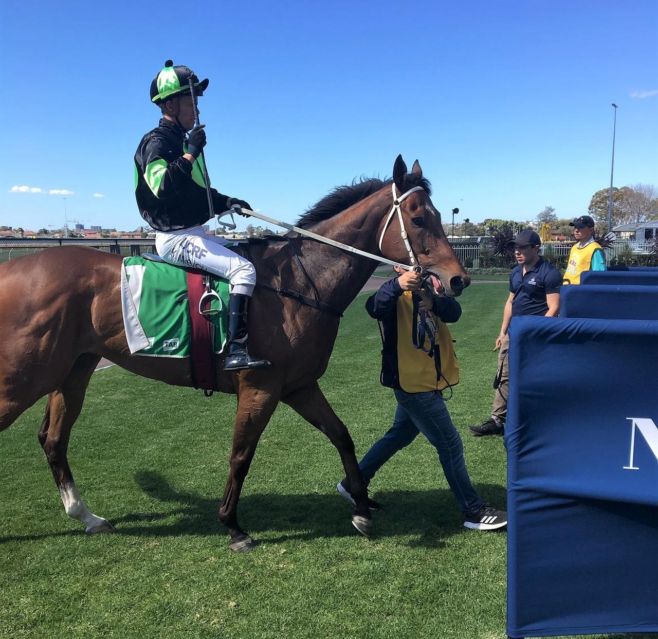 Masterclass win! - Proven Thoroughbreds