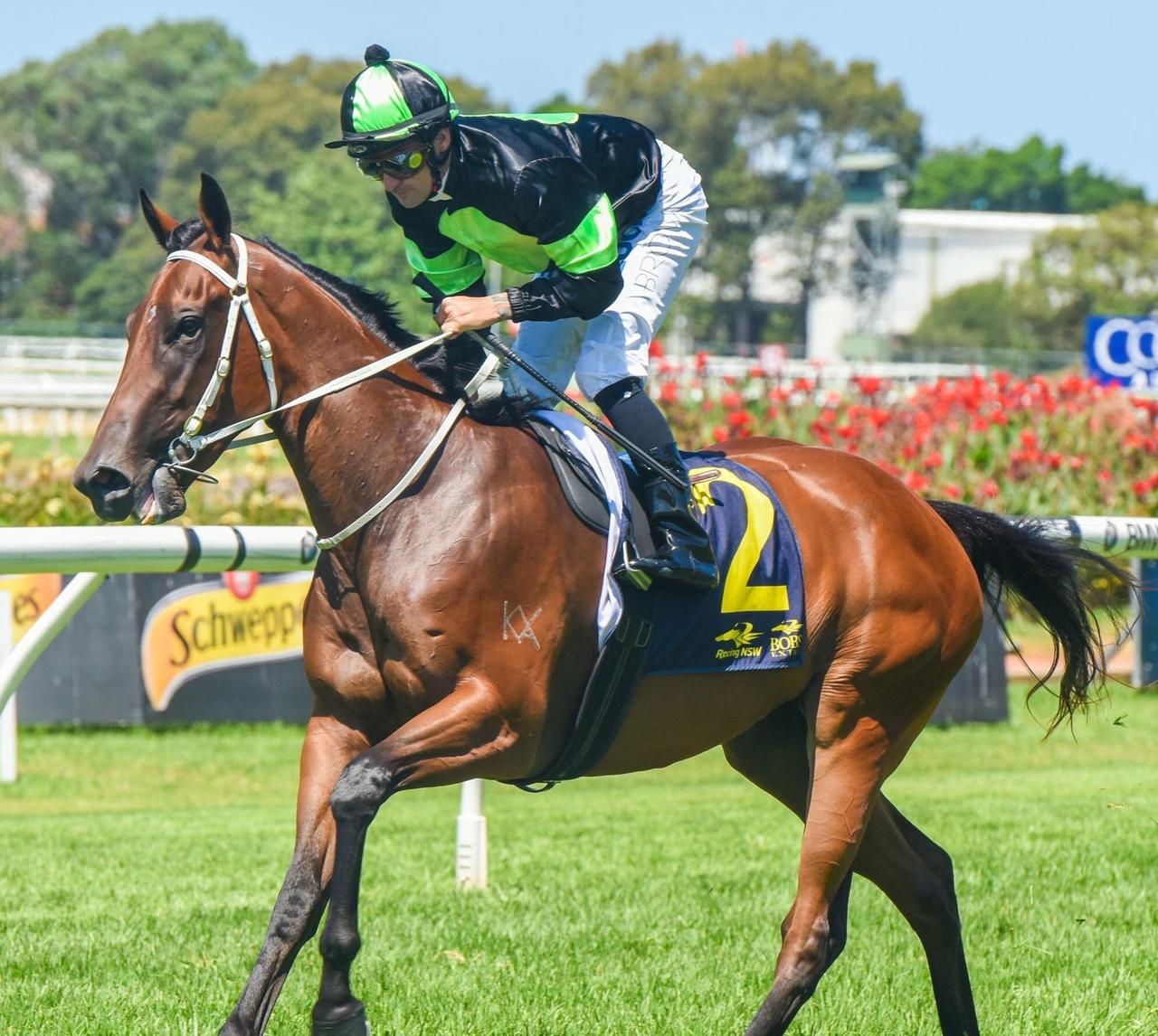 The Week Ahead DEC 29-JAN 5 - Proven Thoroughbreds