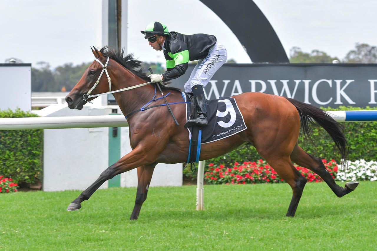 BROOK MAGIC Blitz! - Proven Thoroughbreds