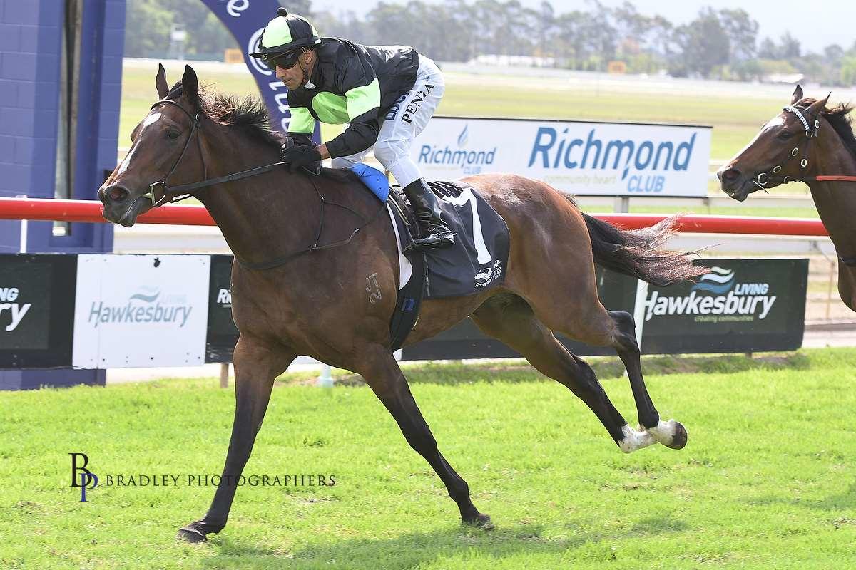 The Week Ahead APR 6-13 - Proven Thoroughbreds