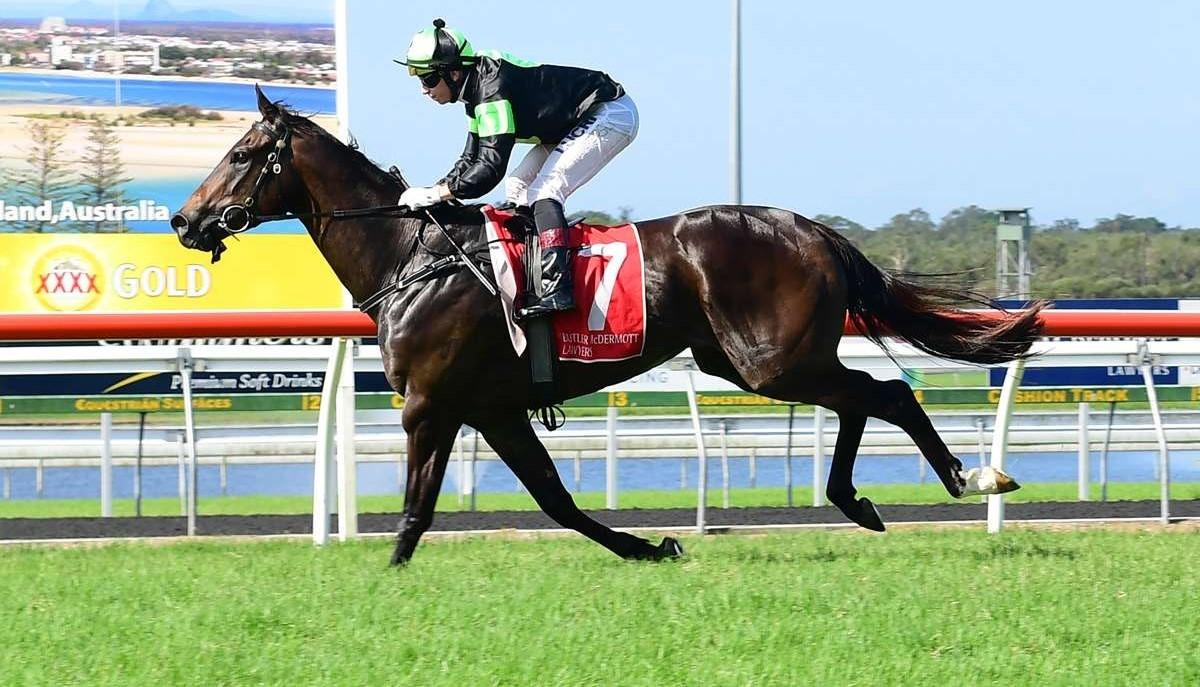 The Week Ahead MAY 11-18 - Proven Thoroughbreds